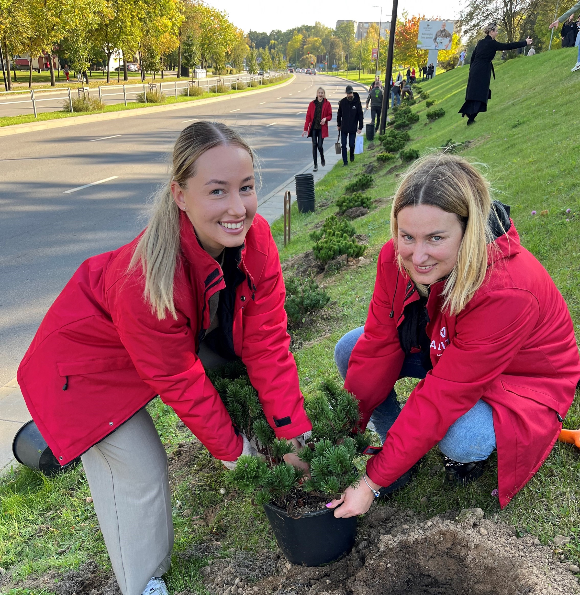 Alita supports a charity event where 160 pine trees were planted in ...